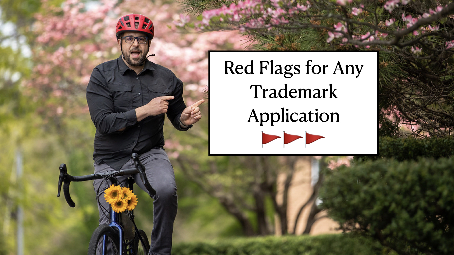 Red Flags for Any Trademark Application | Erik M Pelton & Associates, PLLC