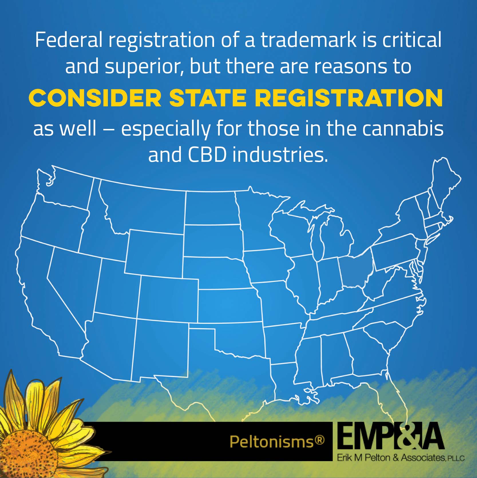 State vs. Federal Trademark Registration | Erik M Pelton & Associates, PLLC